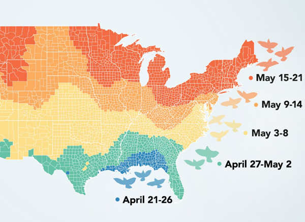 West Kentucky Star - News