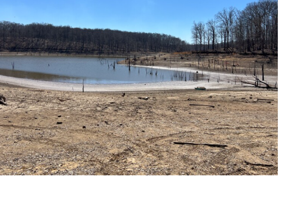West Kentucky Star - News