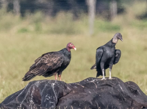 West Kentucky Star - News