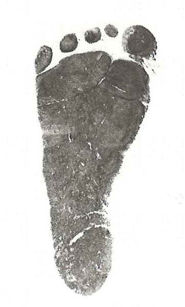 West Kentucky Star - Obituaries