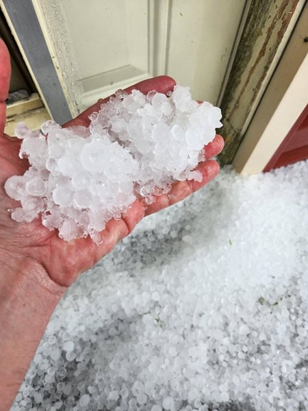 West Kentucky Star - News