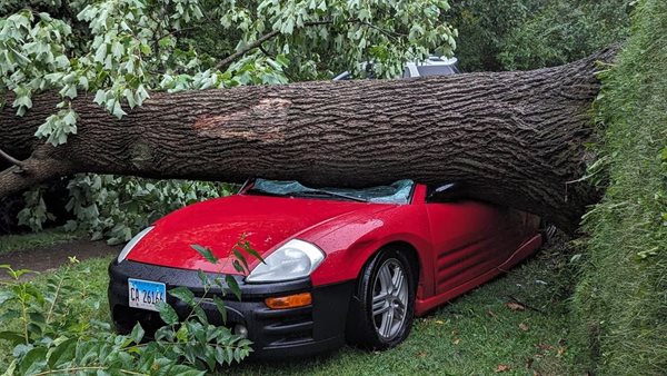 West Kentucky Star - News