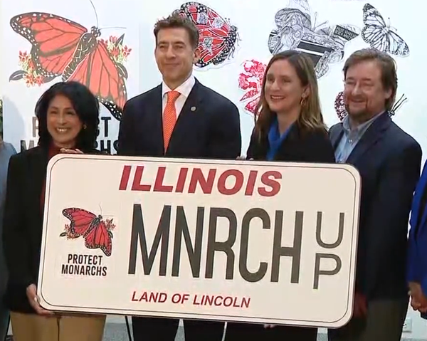 West Kentucky Star - News